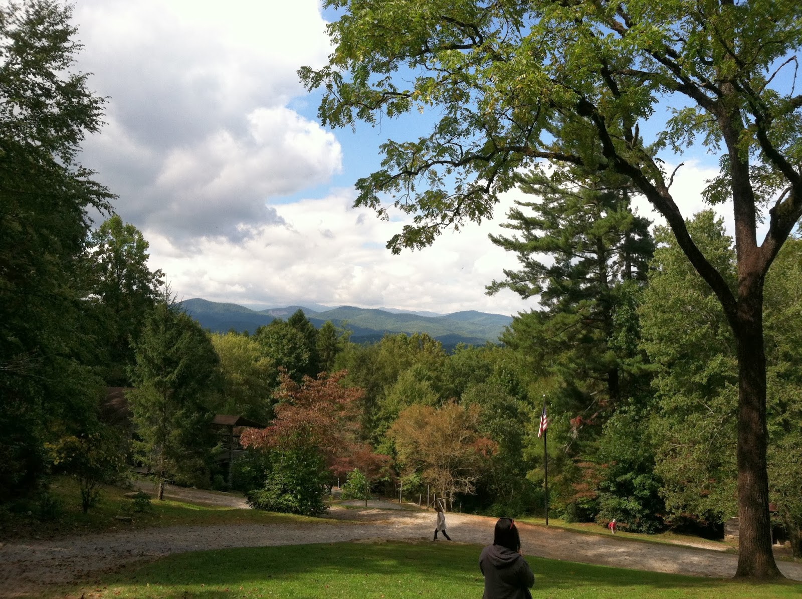 To Lou With Love: Welcome Back...!