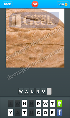 Zoomed In - Photo Word Game Level 307 ~ Doors Geek