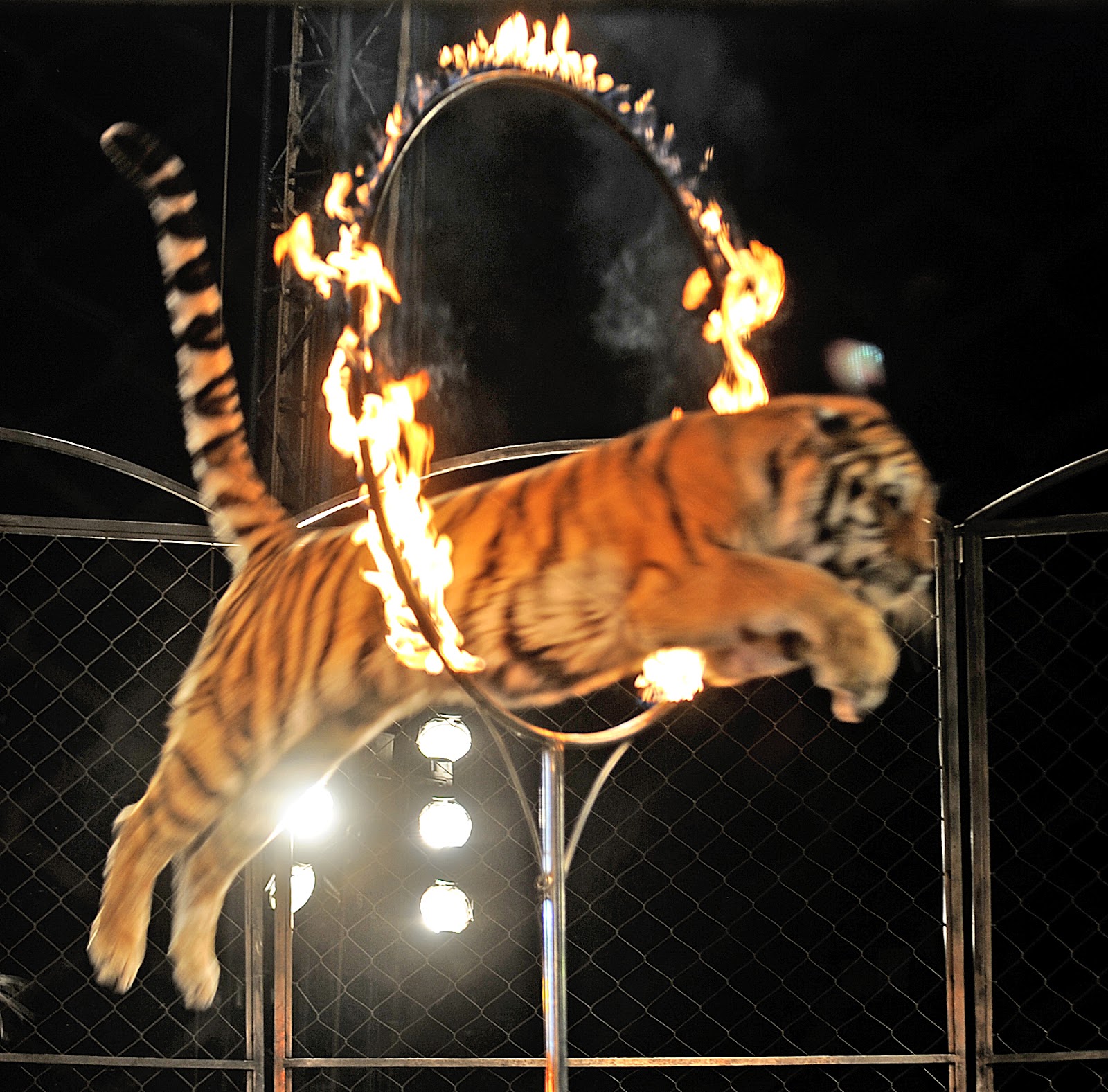 threehundred2pointeight