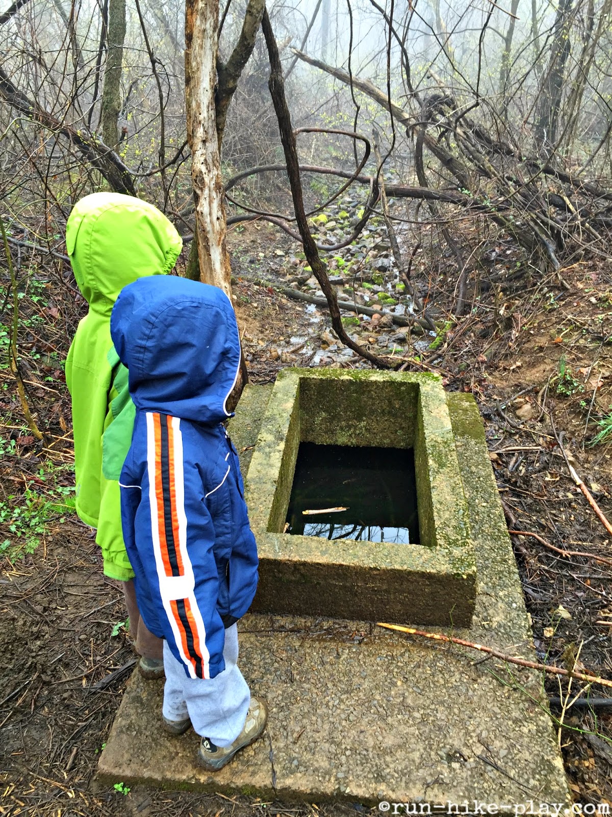 Run-Hike-Play: Fox Hollow Trail Our Last Hike at Shenandoah National Park