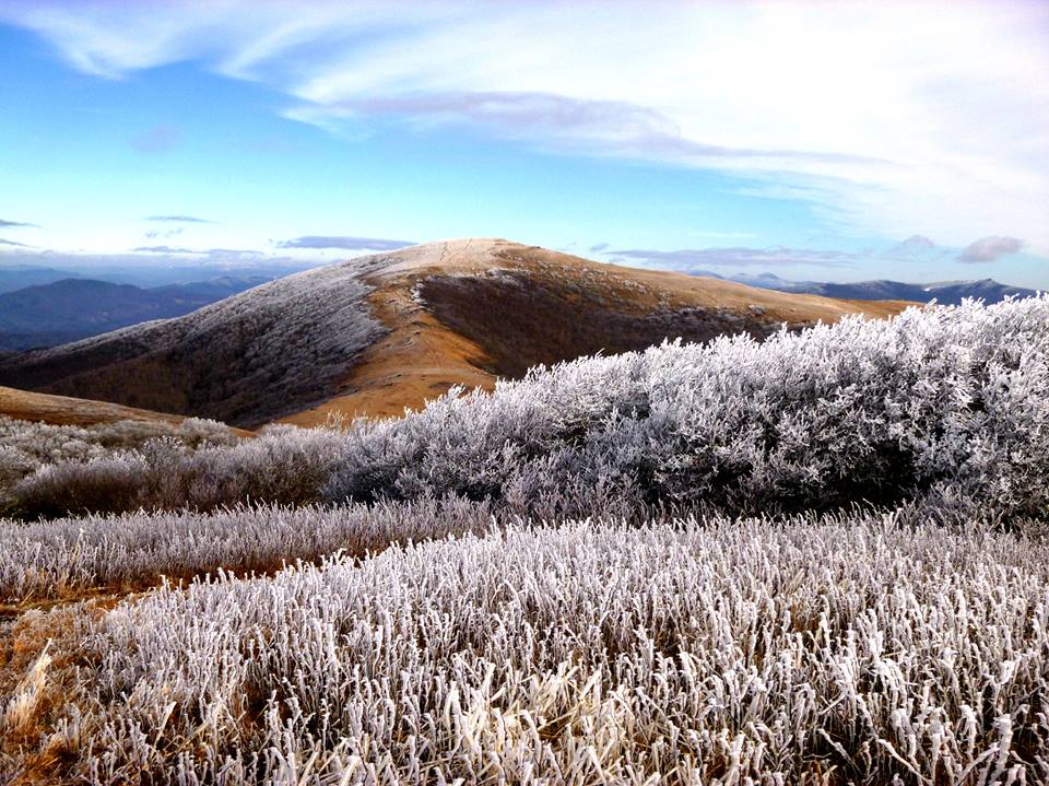 toss & ripple: A New Place