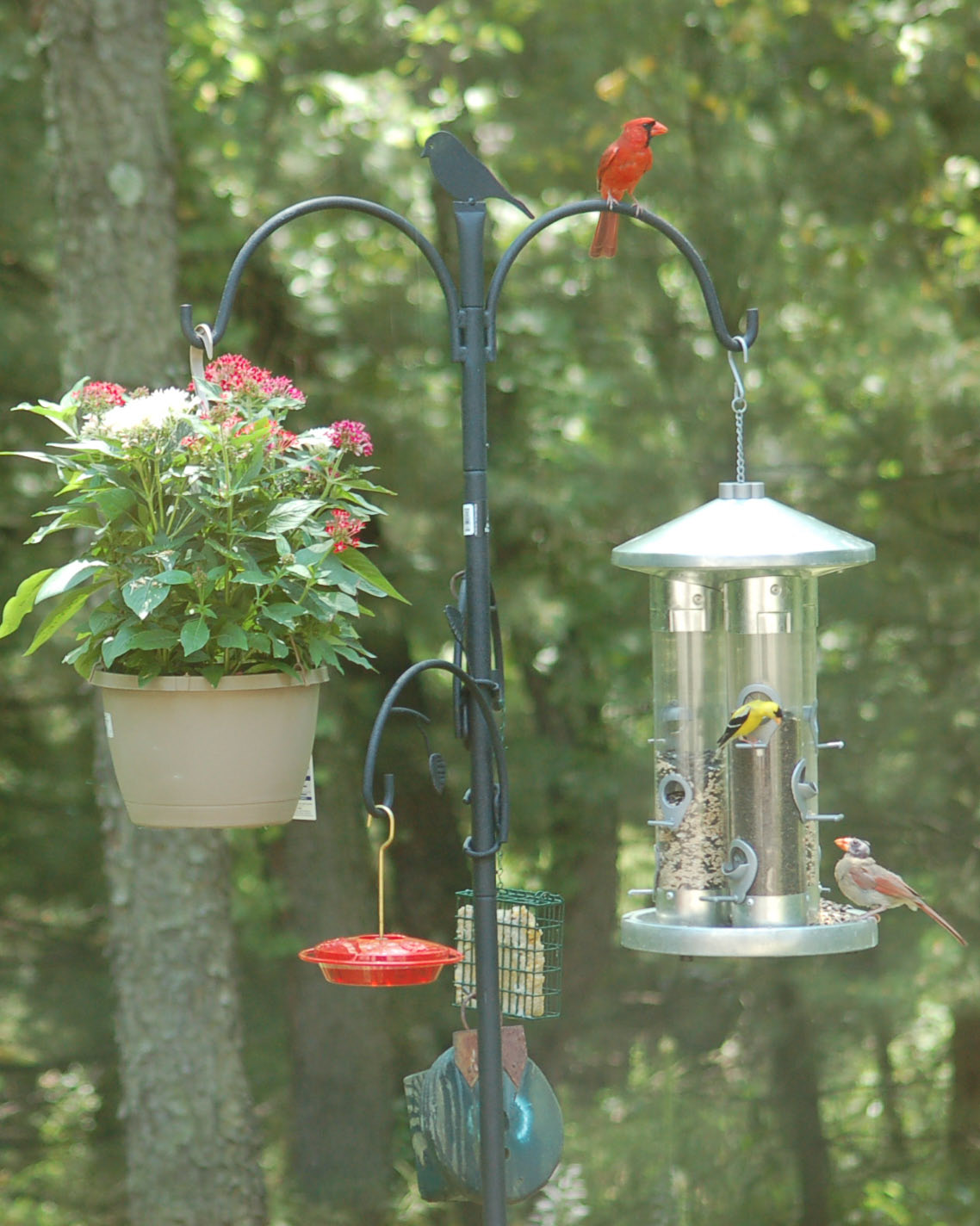 Murrysville Photo Contest: 2012 D) Man-made Objects