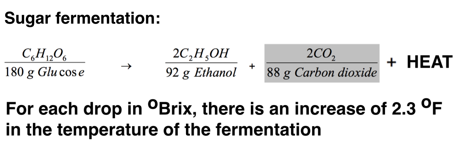 EnoViti: 10/01/2015 - 11/01/2015