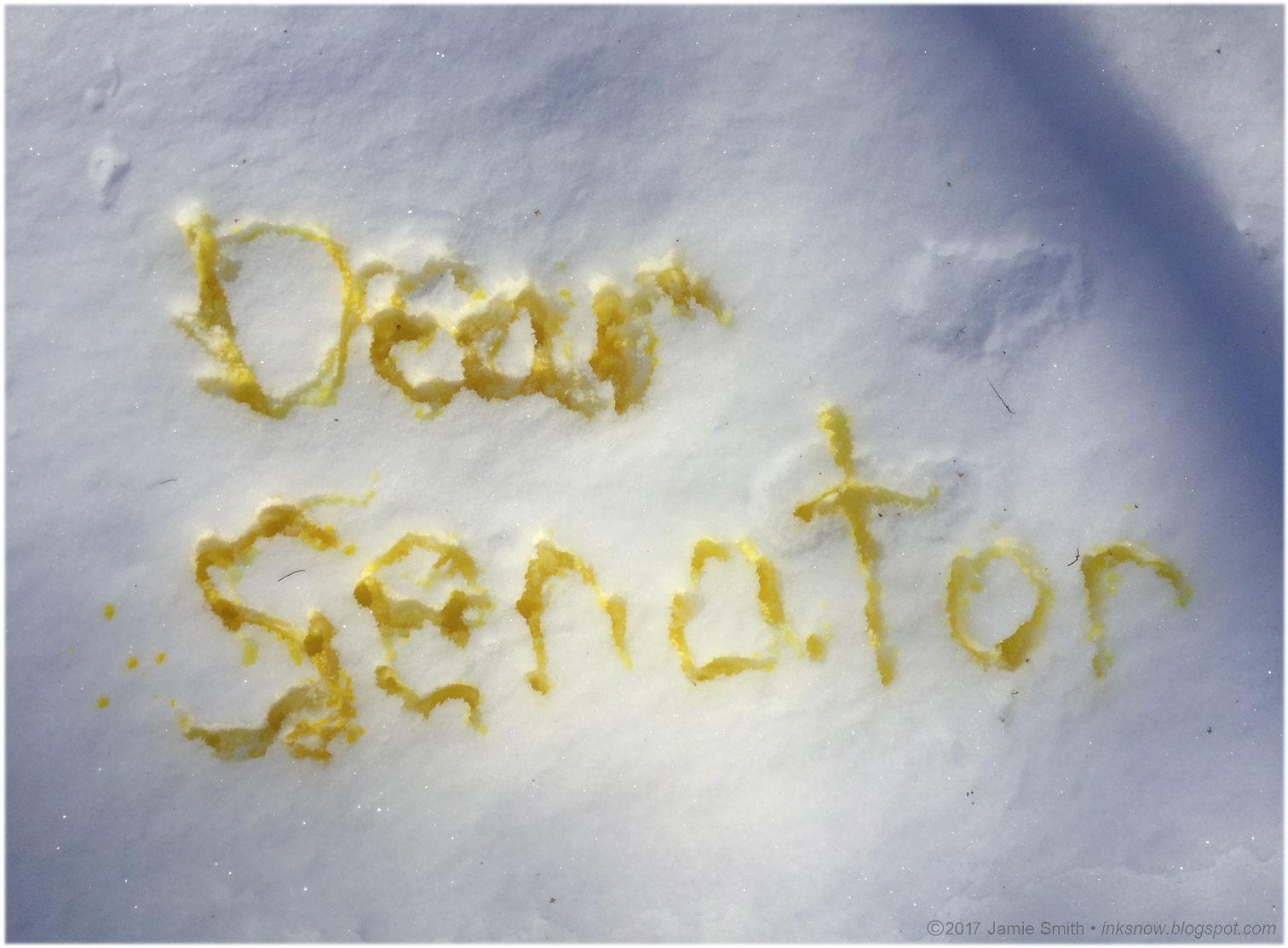 Ink & Snow: Dear Senator...