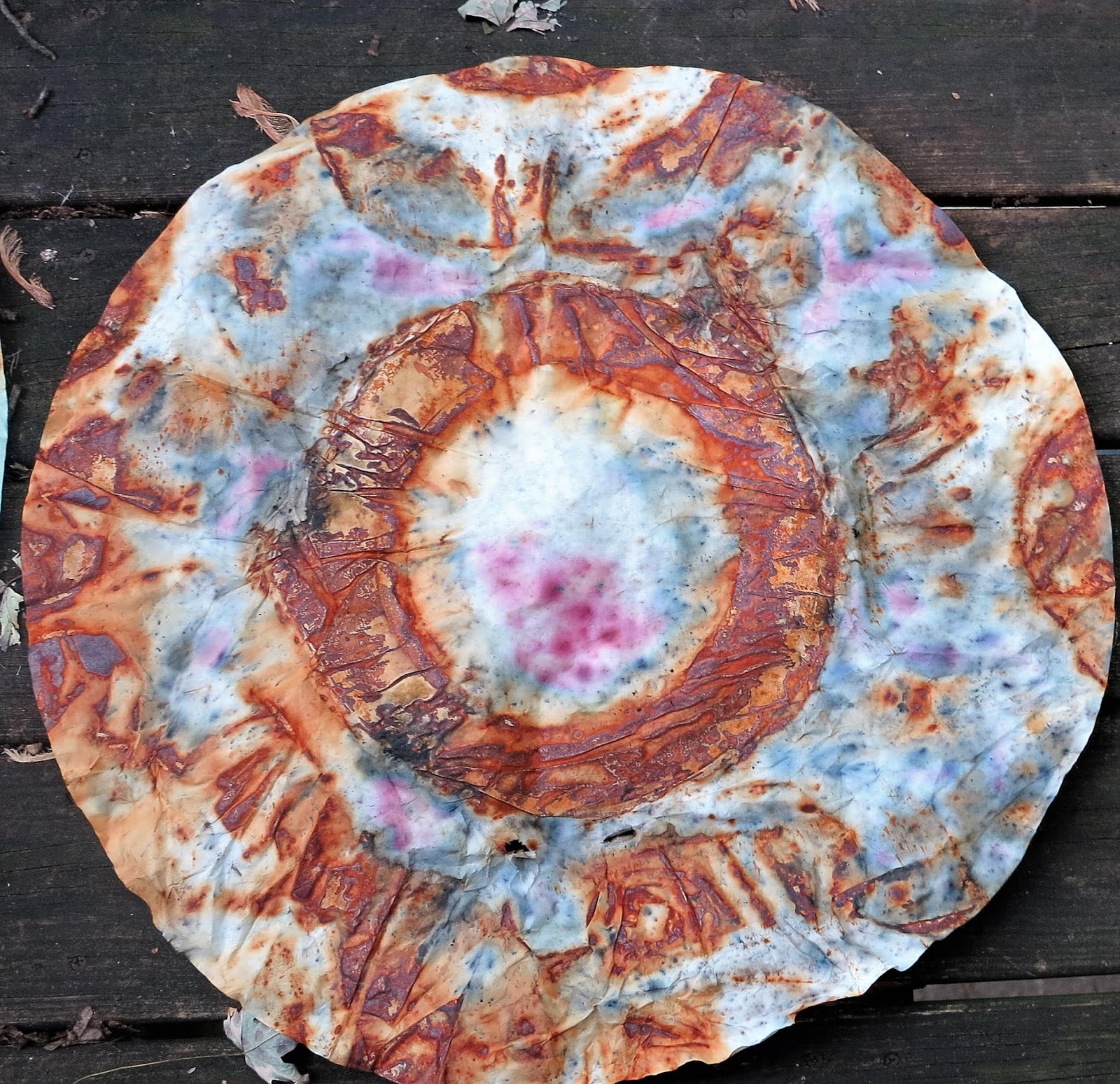 Moth again, Rust papers....