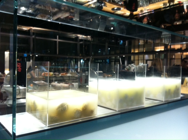 Foodie in London: Cheese is Nice: Obika Mozzarella Bar Opens at Canary ...