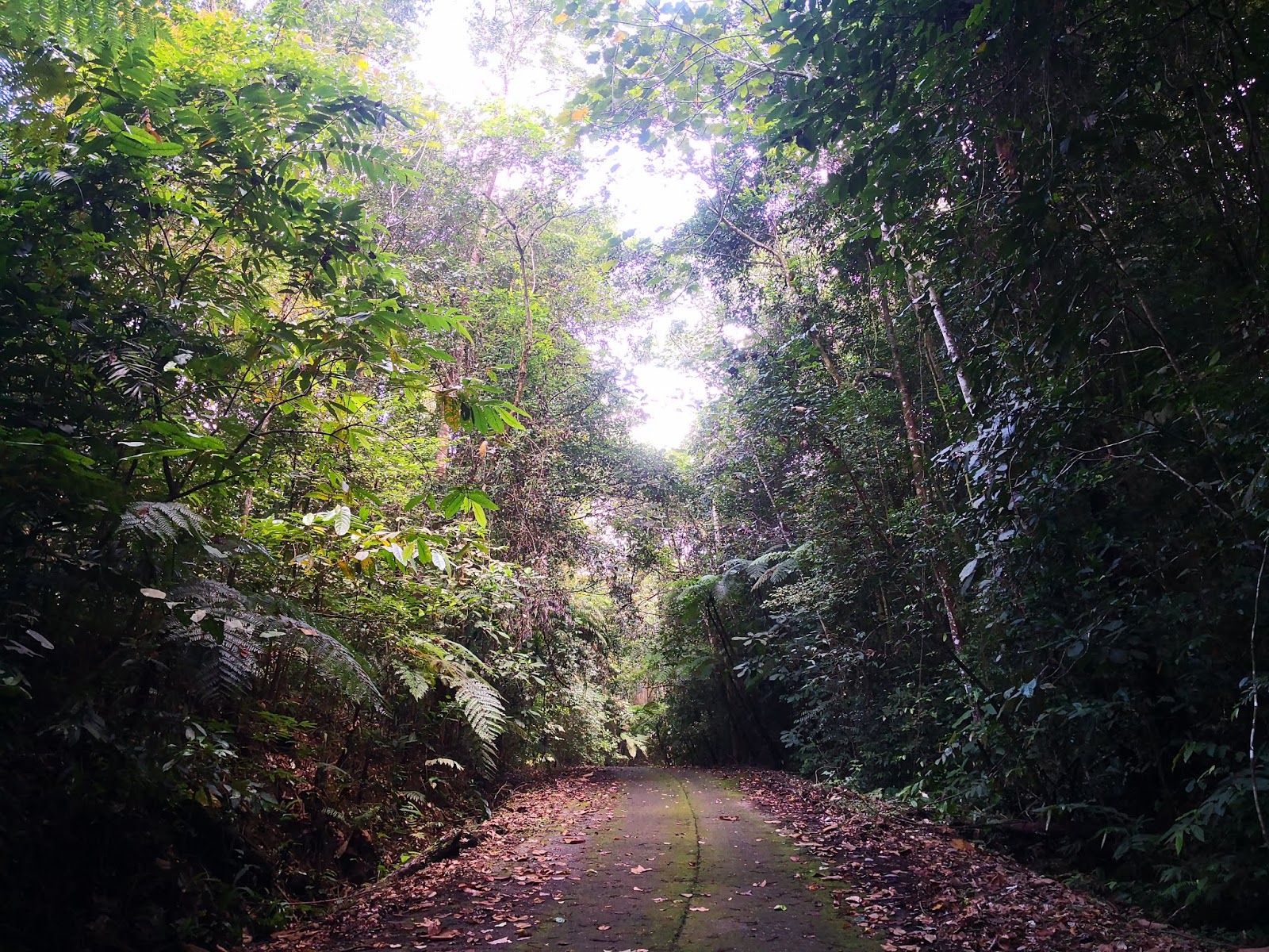 AZLAN RUMADI: HUJUNG MINGGU HIKING DI GUNUNG SERAPI, KUBAH NATIONAL ...