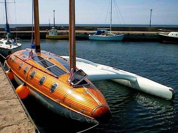 The Flying Tortoise: A Spaceship Or A Sailing Proa...
