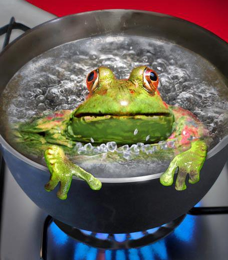 Centro de la 3ra. Edad "Voy Cada Vez Mejor": El síndrome del Sapo Hervido