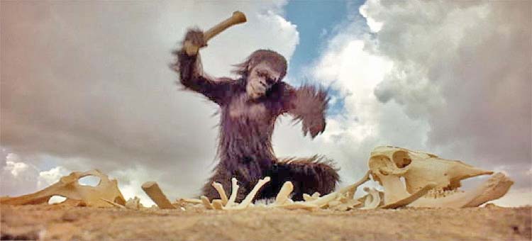 The Monkey Buddha: Monkey Rock Tools