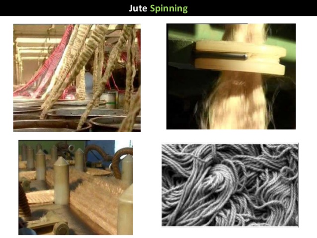 Denim Wash: A brief writing on Jute & jute processing.
