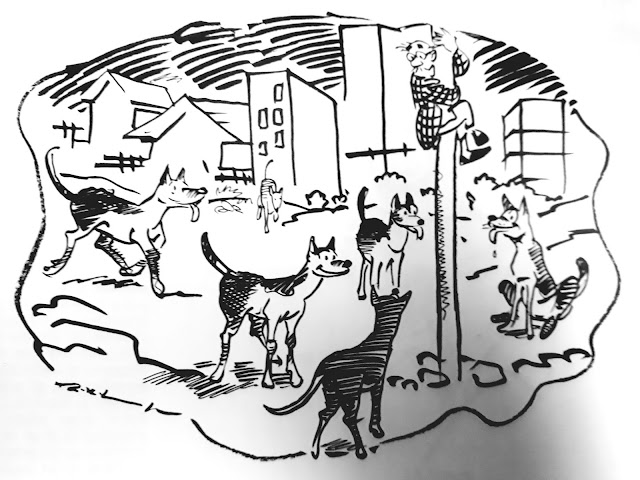 R.K. Laxman's Cartoons: Wild Pets & Tamed Wild Animals (Humor) - III