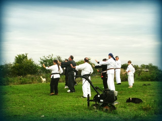 Linda's Life Journal: Goats, Dogs, and Karate!