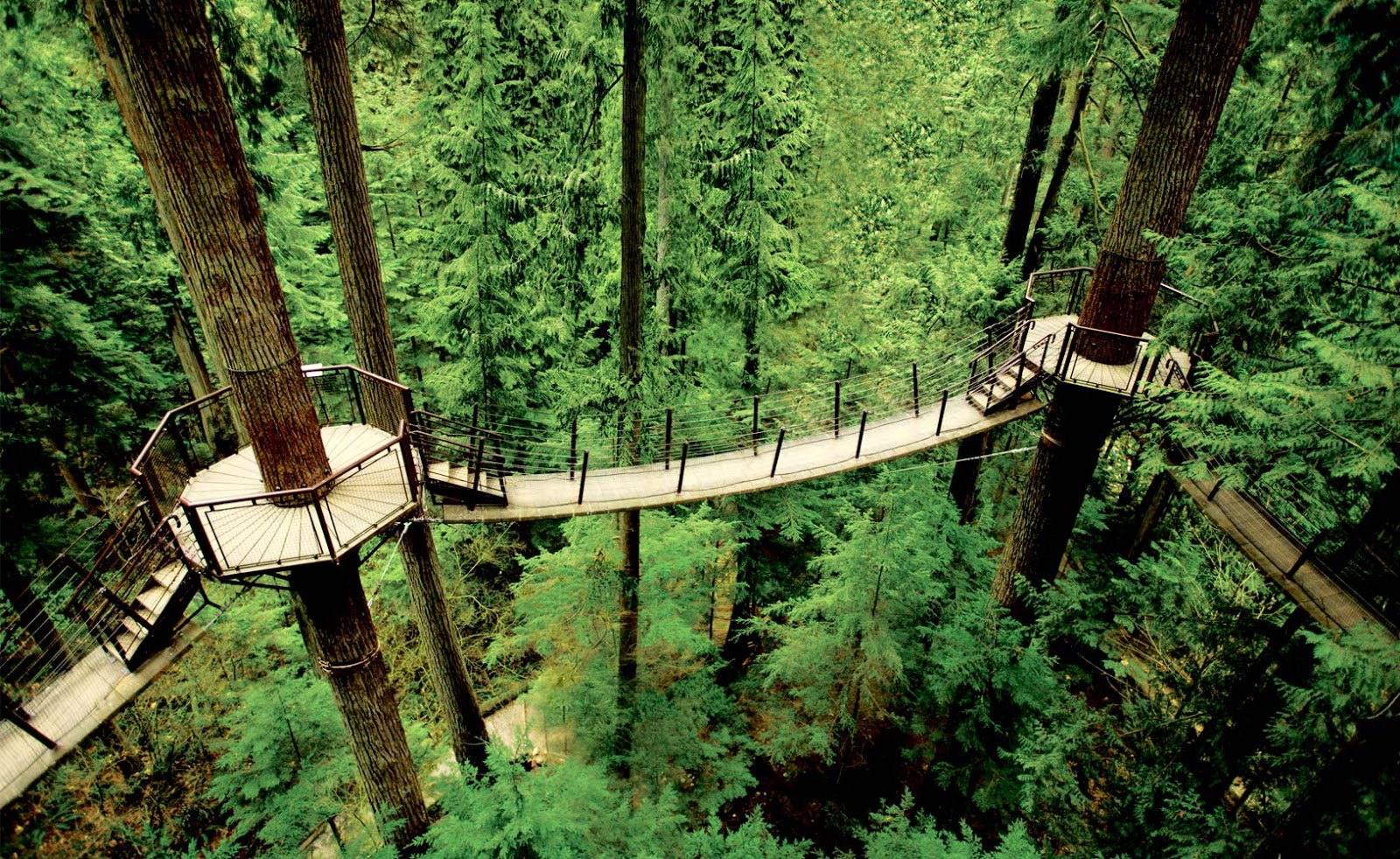 Travel Random Notes: Capilano Suspension Bridge