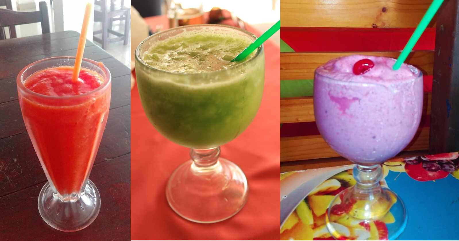 Los viajes de Maki: Costa Rica 3a parte con muchos animalitos