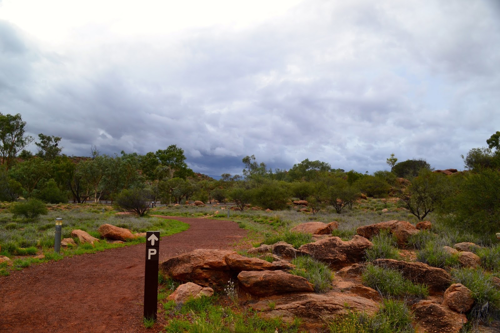 Goin' Feral One Day At A Time: Stuart Walk, Spencer Hill Circuit, Alice ...