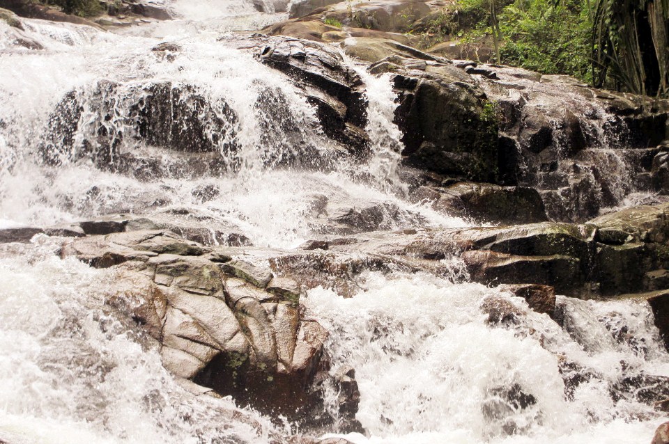 Hello Buu: The Beauty of Nature: Lata Mengkuang