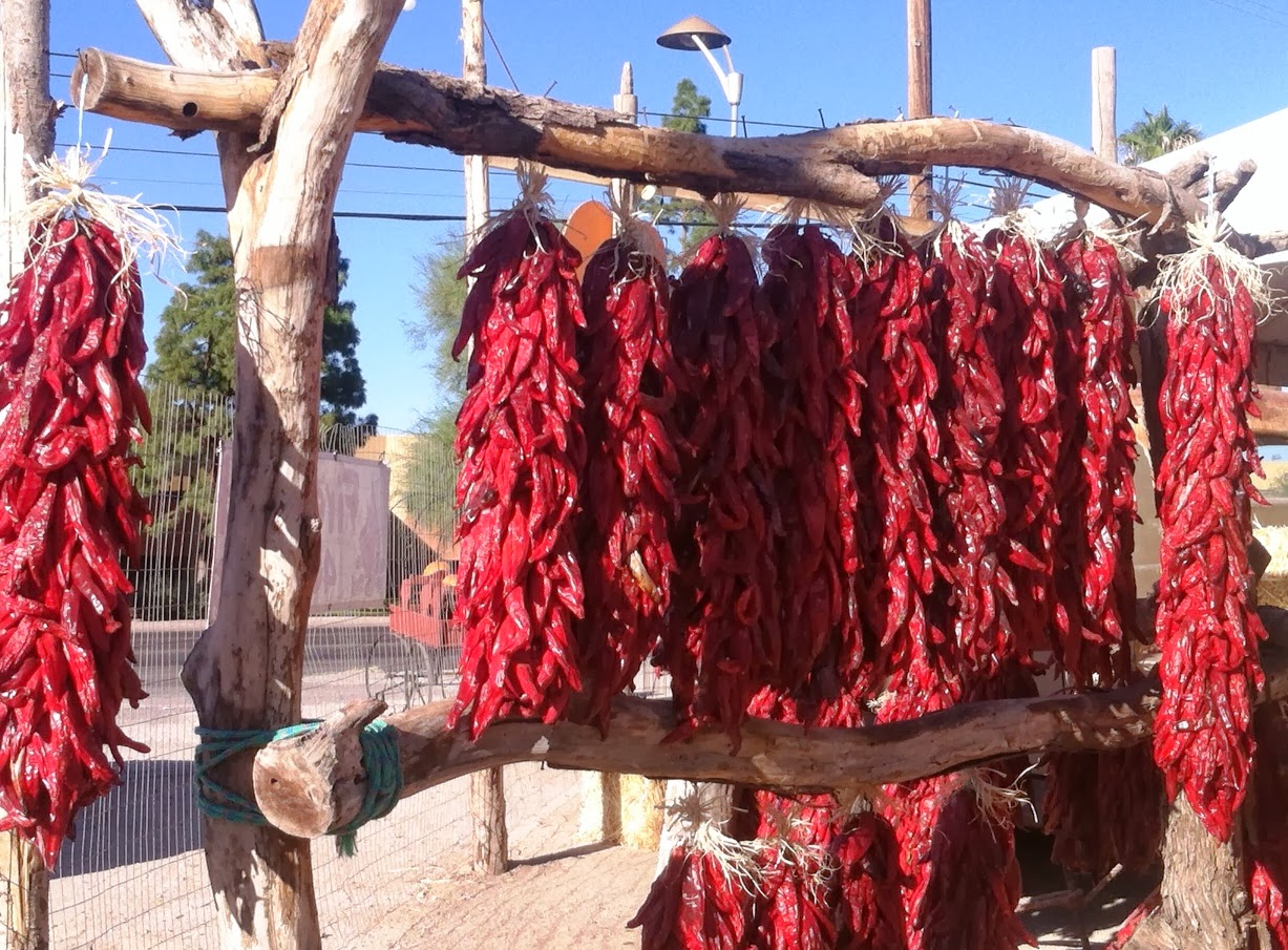 Tucson Daily Photo ~: Fall is here - the ristras have arrived!