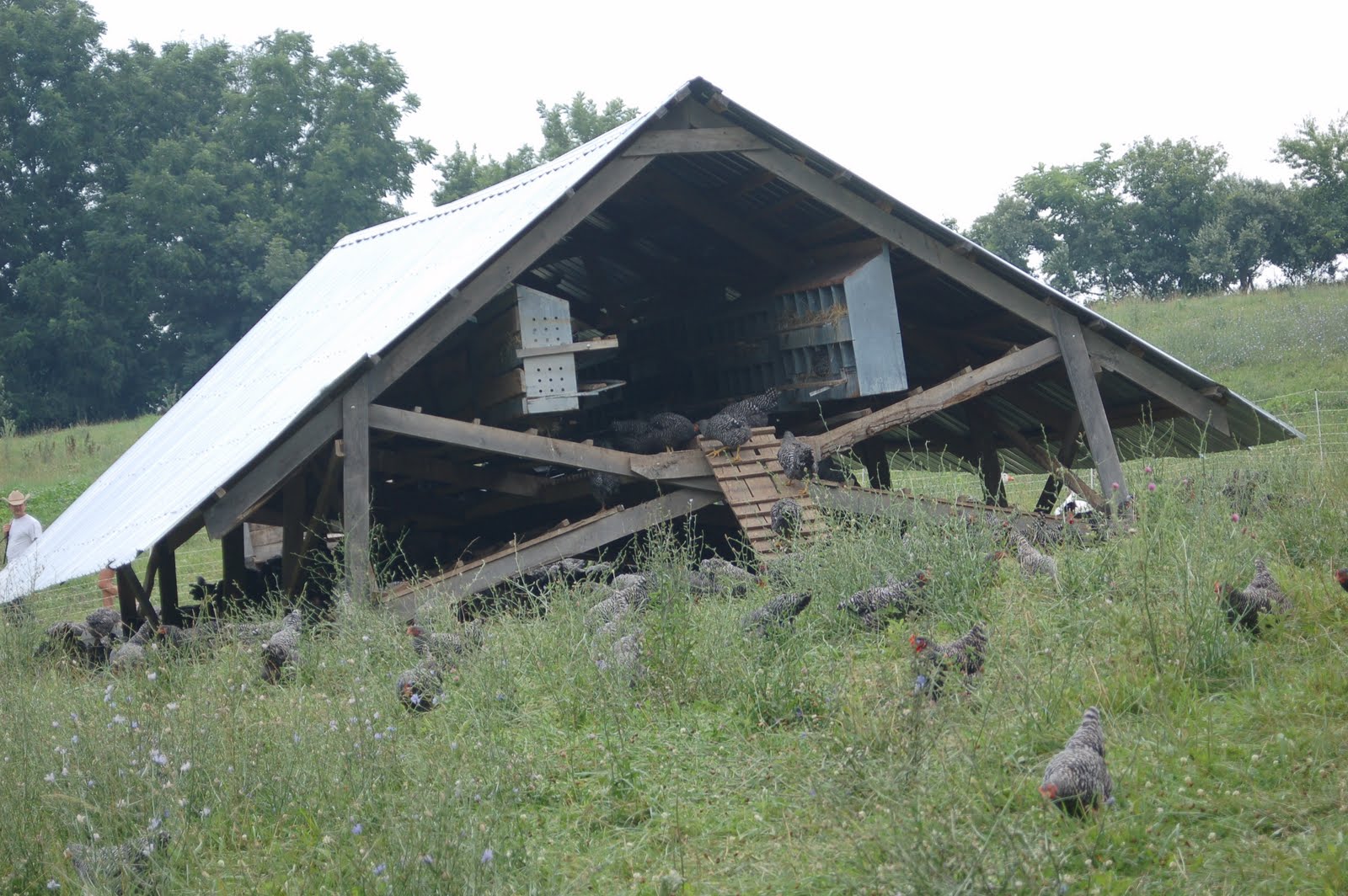 Skyview Acres: Polyface Farm Field Day Photos