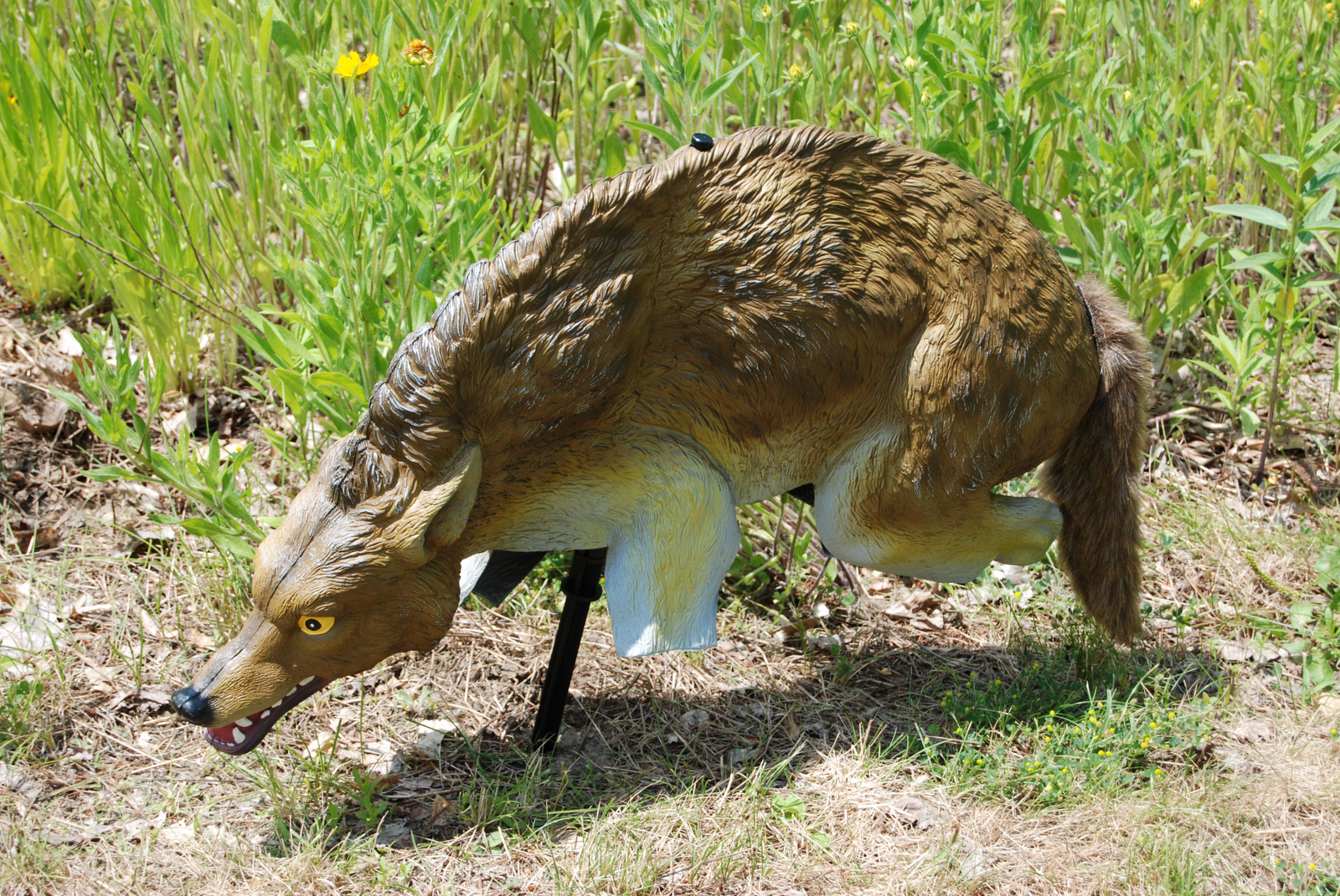 The Oakland Press Blogs: Earth's Almanac: June 2011