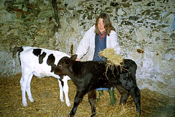 JANE'S THREADS AND TREASURES: "Geef woorden aan verdriet........Give ...