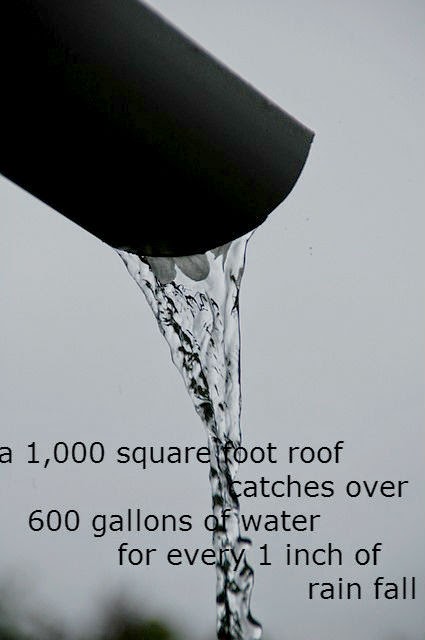 Rain Water Collection Preschool Earth Day Science Experiment ...