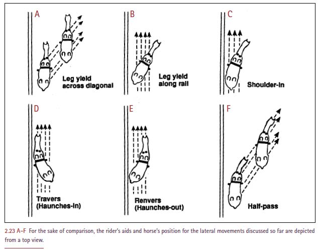 Dream Big: 10/11 Lesson - Half Pass Help