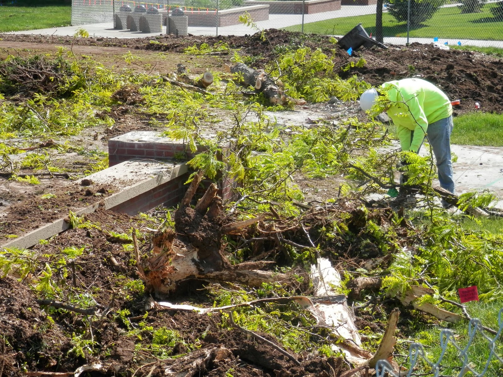 Wildbirds Broadcasting: Vegetation Removal at UNOmaha During Nesting Season