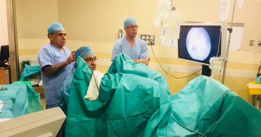 Dr. Fernando Gómez Sancha - English: Visitors from Jordan to learn ...