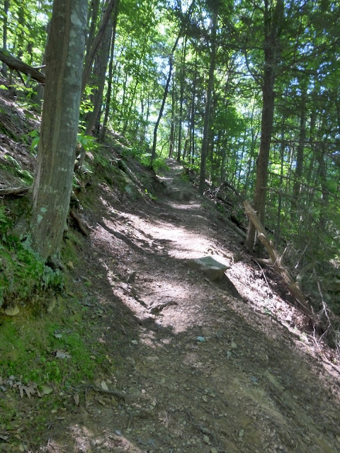 American Travel Journal: Devil's Racetrack - Cumberland Trail State Park
