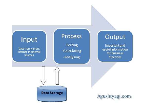 Introduction To Information System | Ayush Tyagi