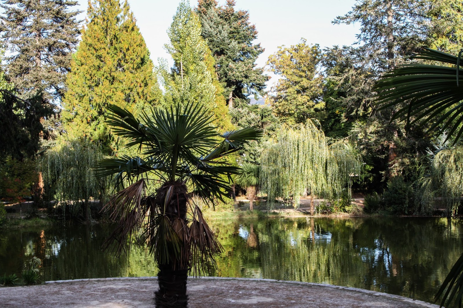 Pedras Salgadas - Spa & Nature Park | Tapas na Língua | Bloglovin’