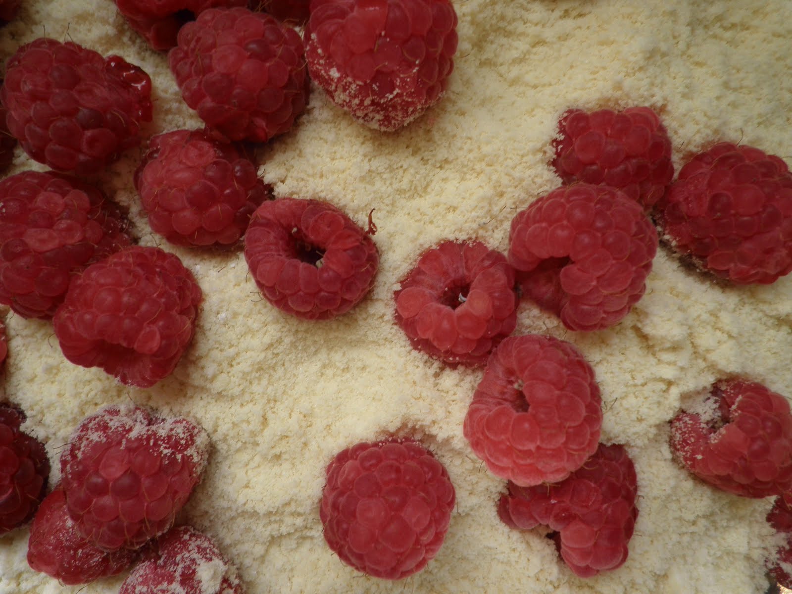 ...With Love and Cake: Marvelous Scones for a Marvelous Breakfast.