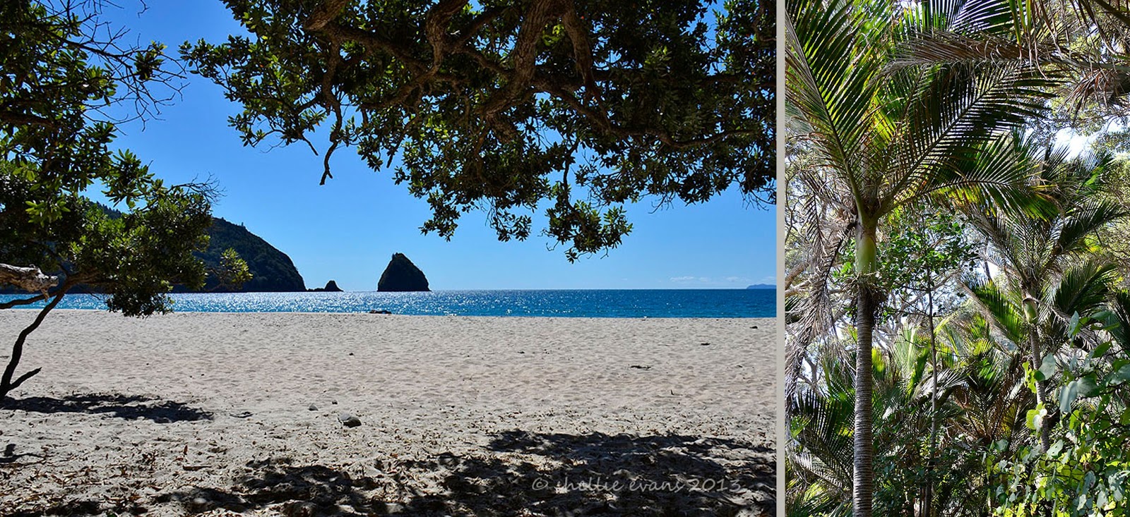 Two Go Tiki Touring: New Chums Beach- is it worthy of it's place in the ...