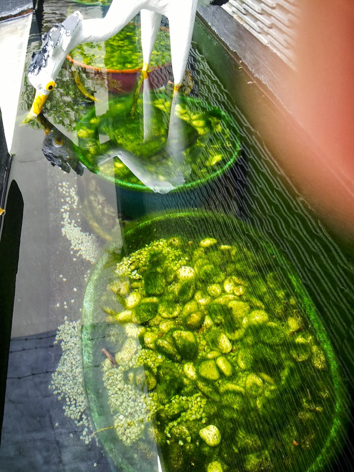 Anoxic Filtration System: Yogas Anoxic filter build part-2