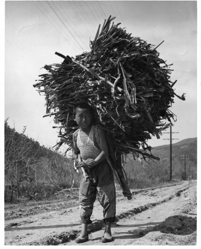 Abraham and Isaac: The Complete Guide and Typology