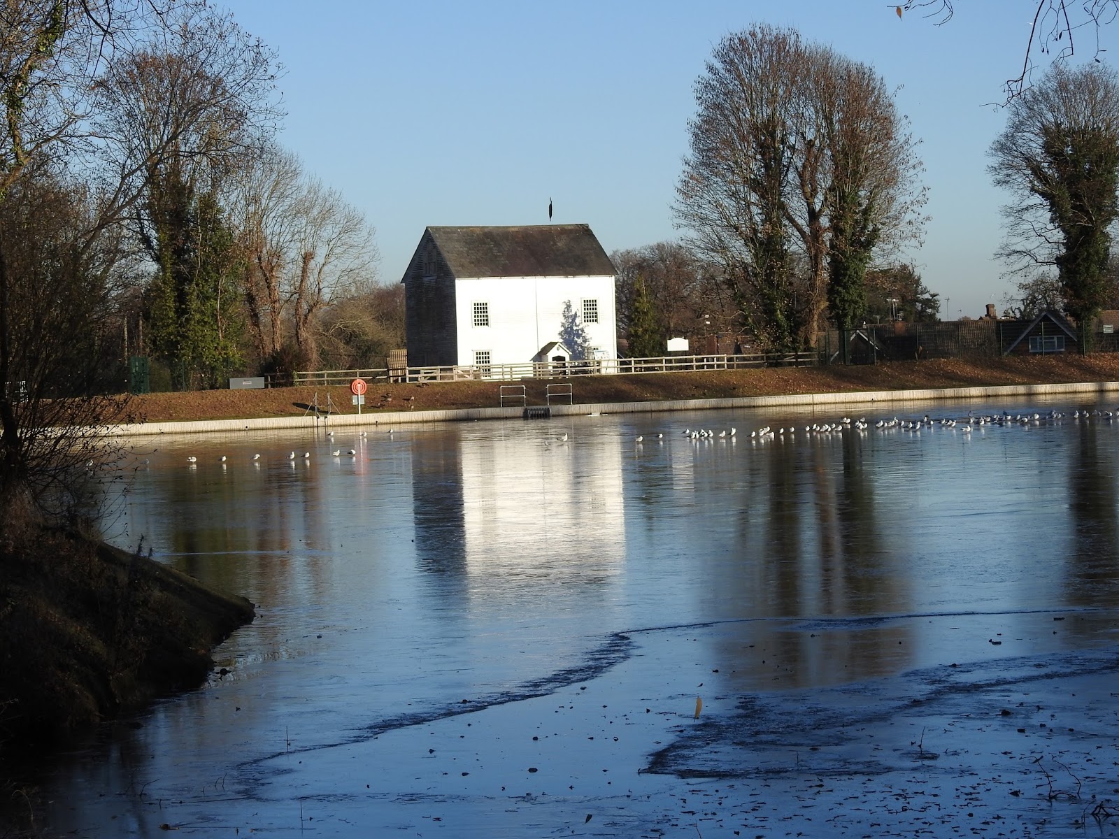 Crawley Old Town: TWENTY FIVE PICTURES: Ifield Water Mill
