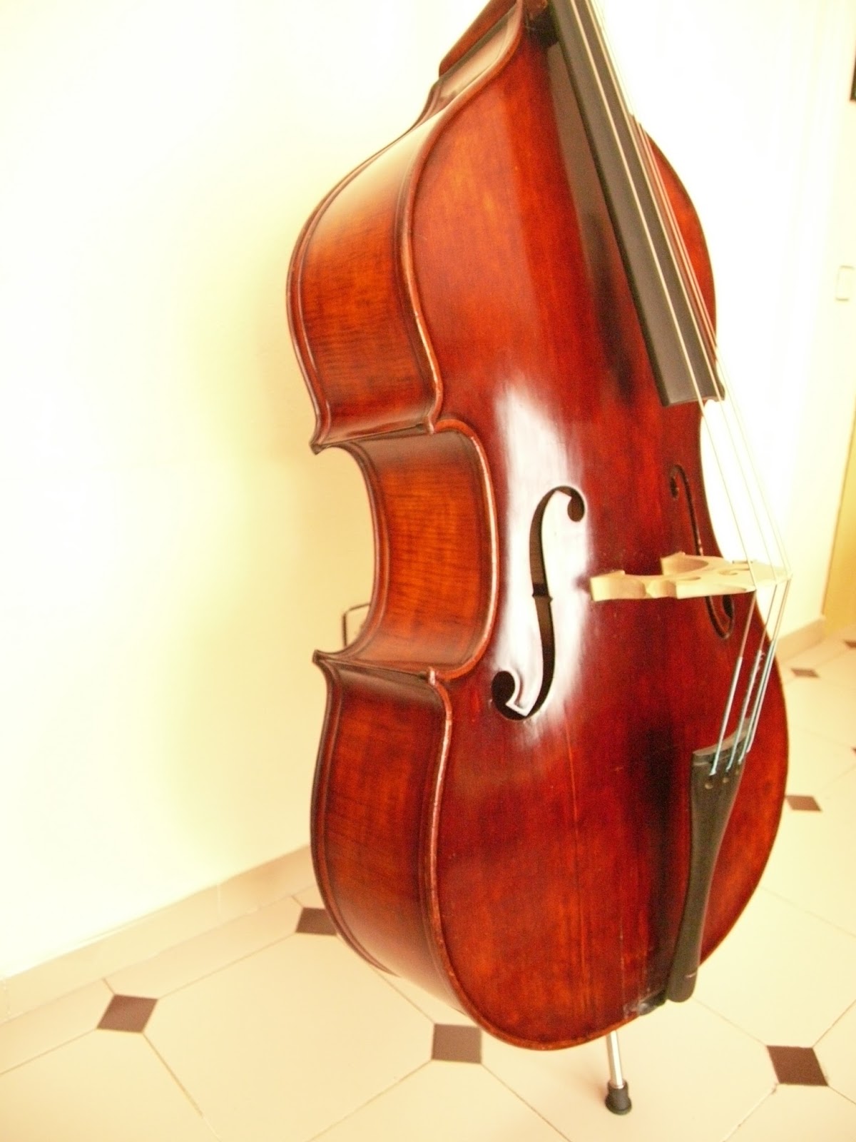 UN CONTRABAJO PARA UN/A SOLISTA