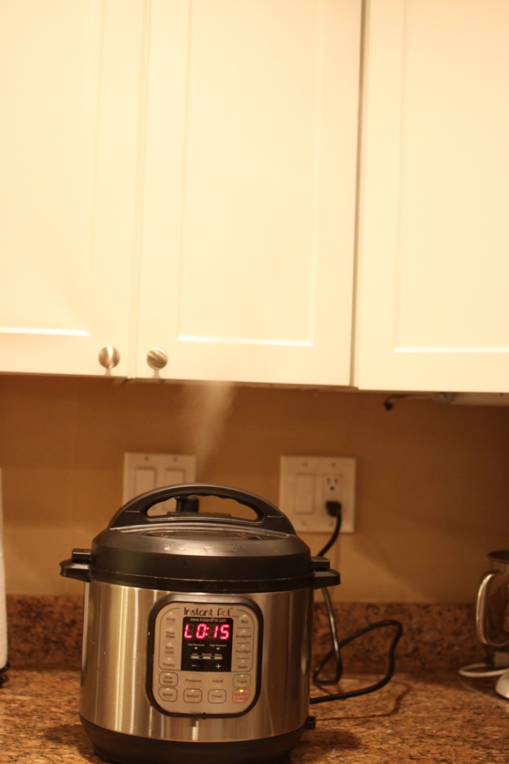 The Larson Lingo: Instant Pot Rosemary Beef Stew