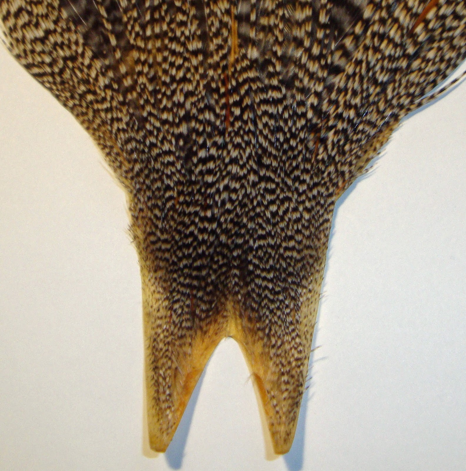 ~StreamSide Tales~: #20 Midge Tute