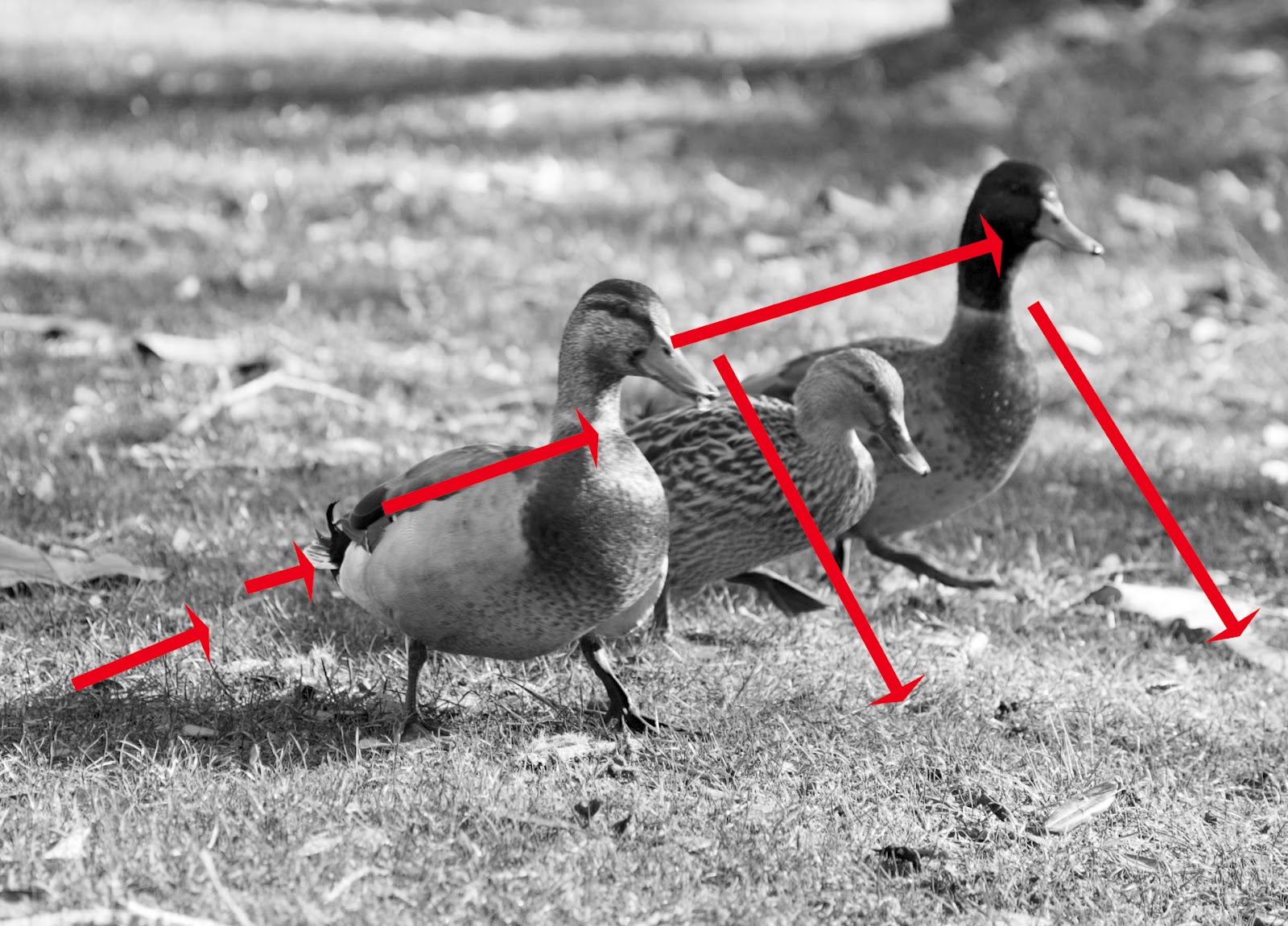 The Art of Photography: Exercise Implied Lines