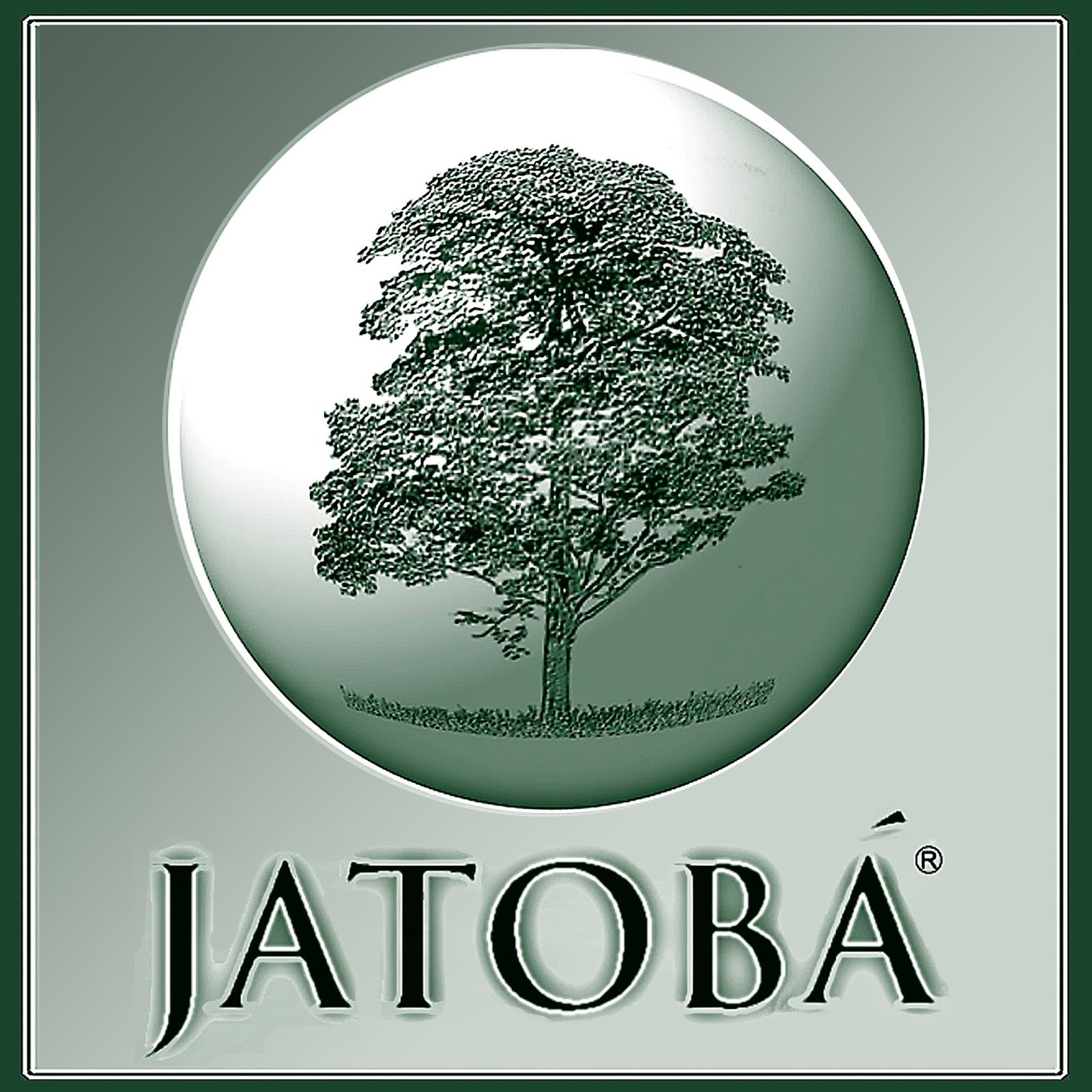 COZINHA VITAL : CONHEÇA MAIS SOBRE OS PRODUTOS DA JATOBÁ ORGÂNICO