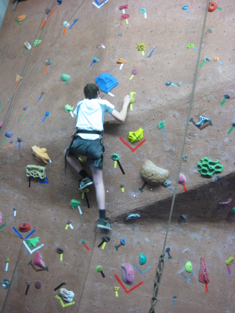 Alycia Quilts - Quiltygirl: Rock Climbing