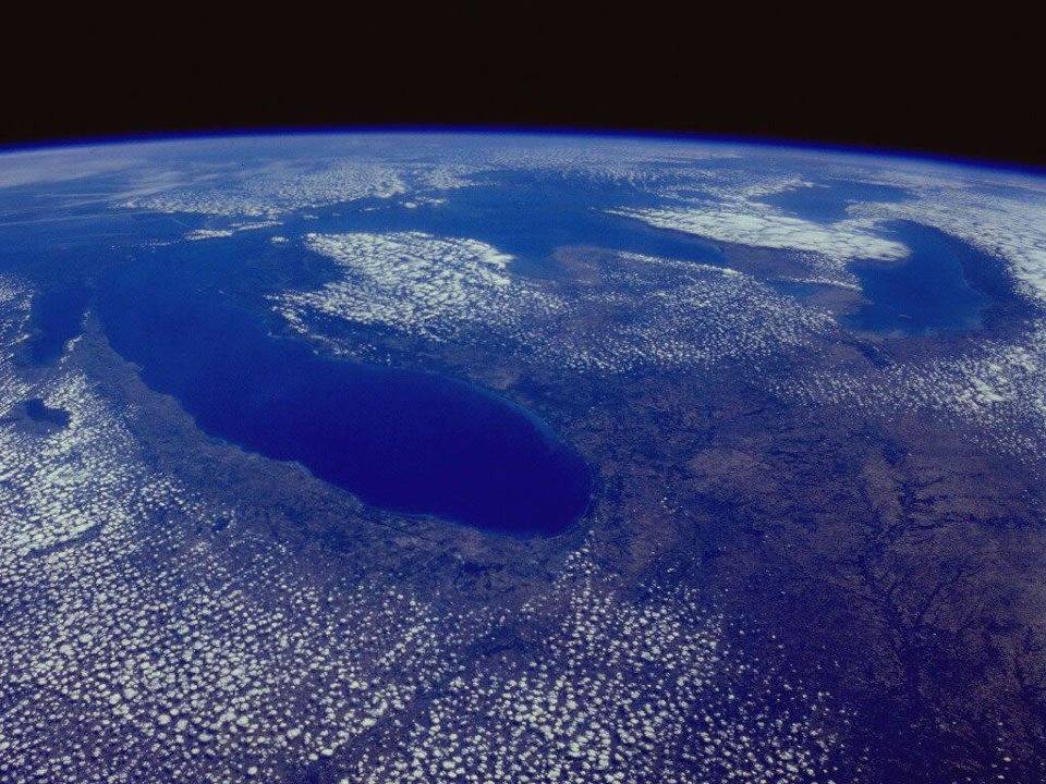 GreenfundraiserStore.Com: Green Fundraiser Store - Lawn and Leaf Paper ...