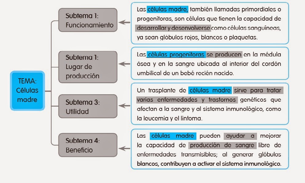 Técnicas y estrategias de comprensión lectora: TEMAS Y SUBTEMAS