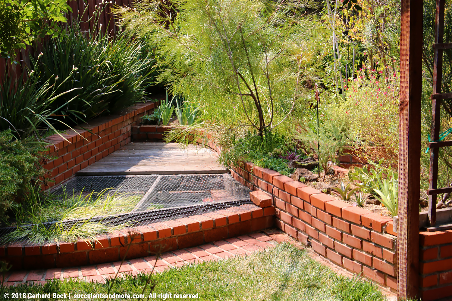 Around the world on 6,000 sq.ft.: Brian's miniature botanical garden