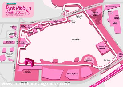 celestial: Watsons pink ribbon walk 2011