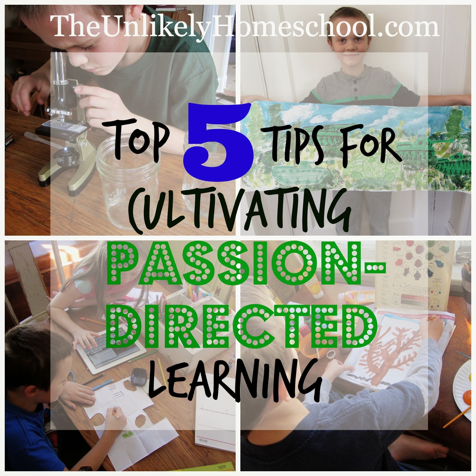 The Unlikely Homeschool: Top 5 TIps for Cultivating Passion-Directed ...