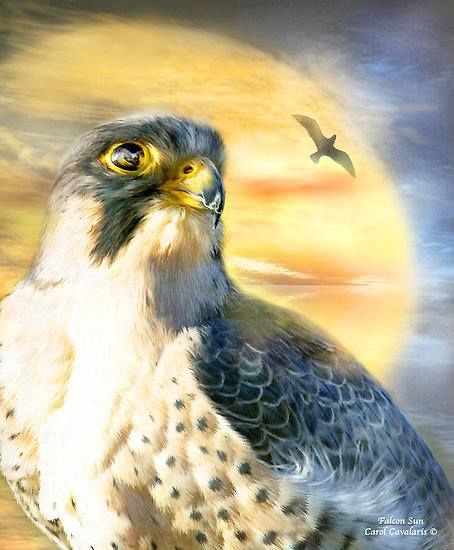 A MAGYAROK TUDÁSA: Milyen madár volt a turul?