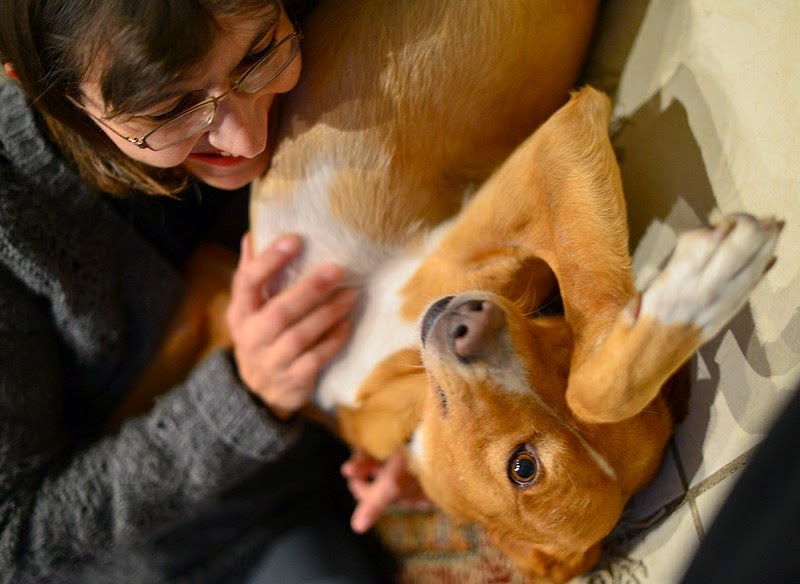 Petwatch - Fuer die Partnerschaft Mensch - Hund | Human Dog Bonding ...